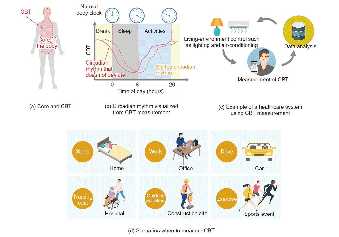 Technology For Visualizing The Circadian Rhythm Wearable Core body Technology For Visualizing The Circadian Rhythm Wearable Core body